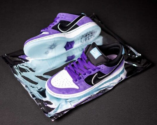 Hayley Wilson Gets Her Own Nike SB Dunk Low Collab - Modern Notoriety